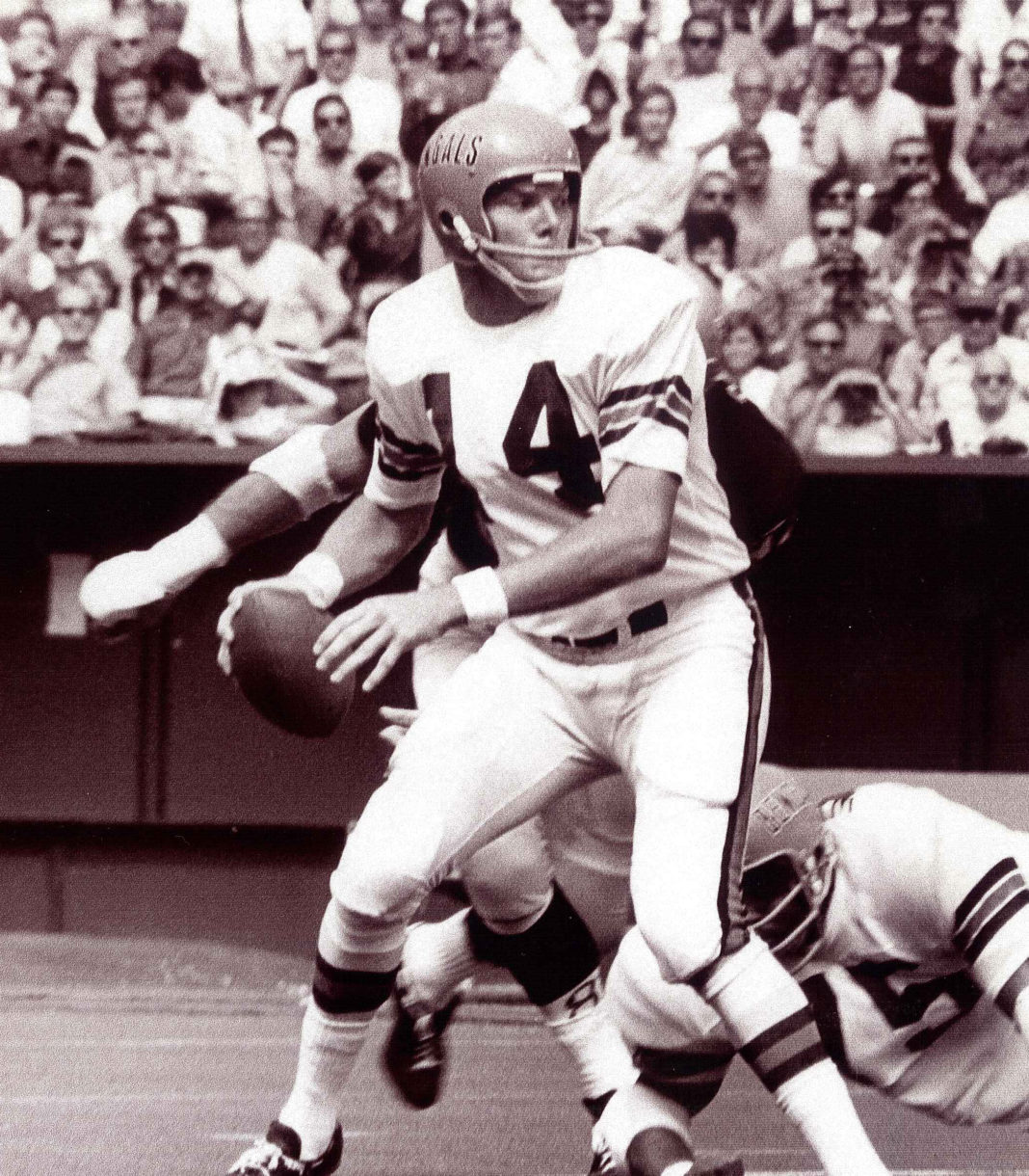 The Second Life of NFL Coach Sam Wyche - My Fraternity